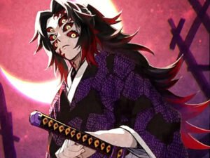 The Story of Upper Moon 1 Kokushipo, Why Did He Become A Demon?